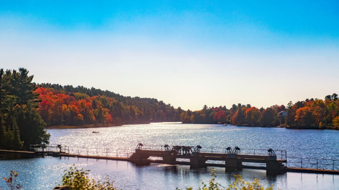 Why a Muskoka or Parry Sound Cottage is the Ultimate Summer Vacation ...