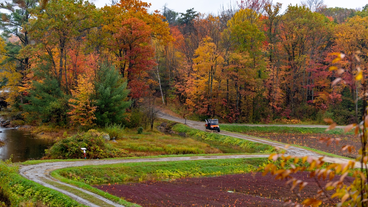 Top Fall Adventures to Experience in Muskoka - All Points North